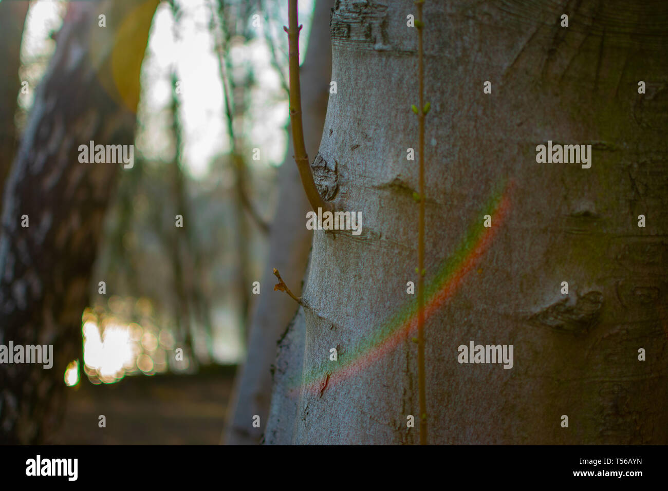 Micro trunk hi-res stock photography and images - Alamy