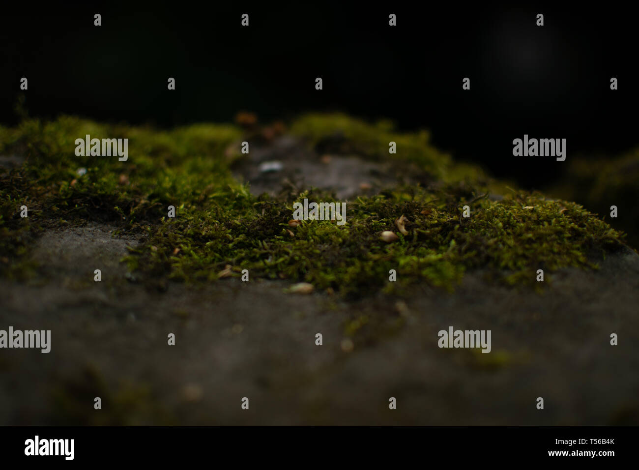 Micro rocks hi-res stock photography and images - Alamy