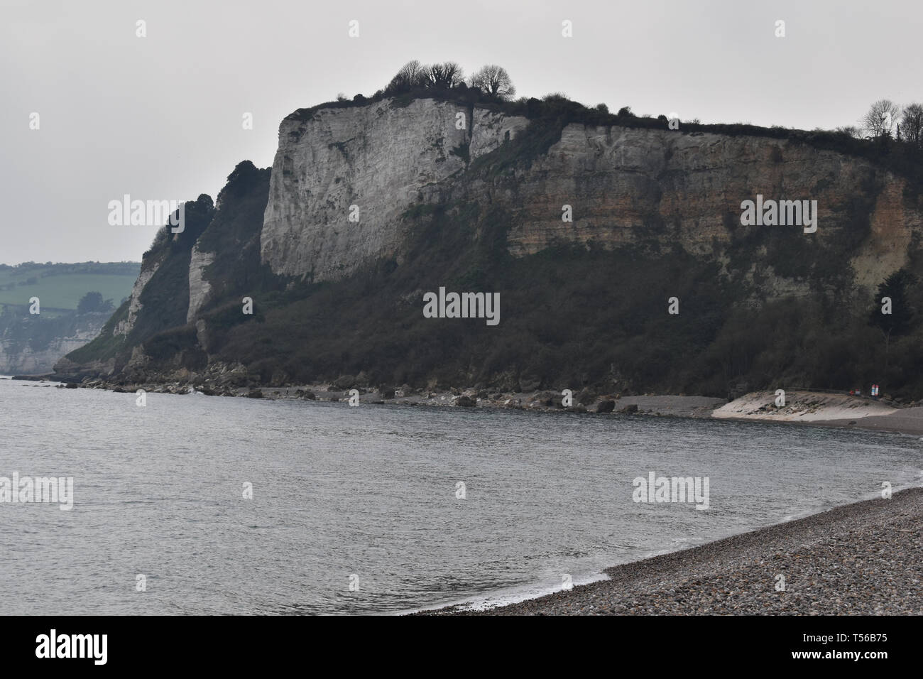White chalk cliffs of devon hi-res stock photography and images - Alamy