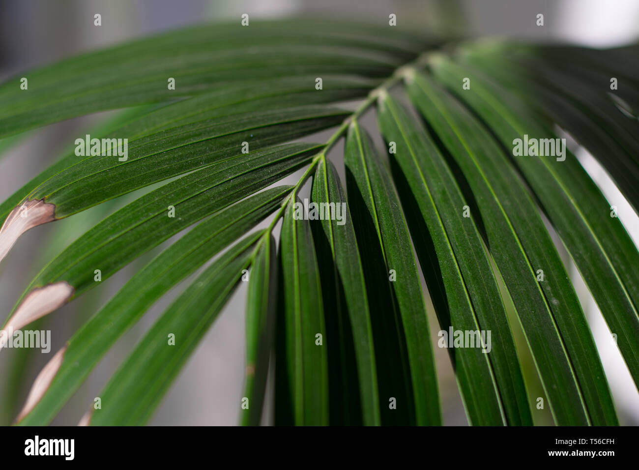 Zoomed view hi-res stock photography and images - Alamy