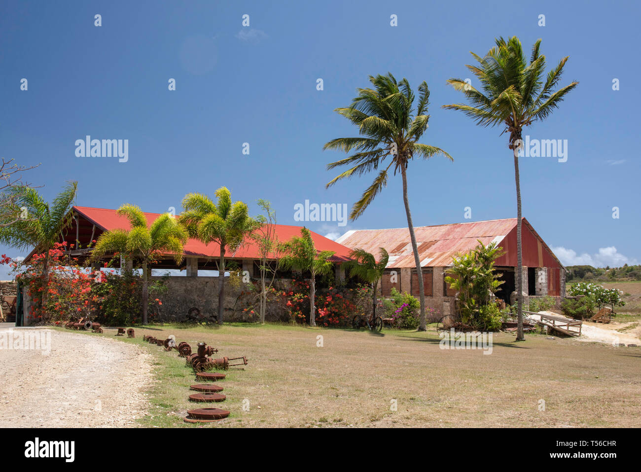 St Nicholas Abbey Sugar Cane Plantation and Rum Distillery in Saint ...