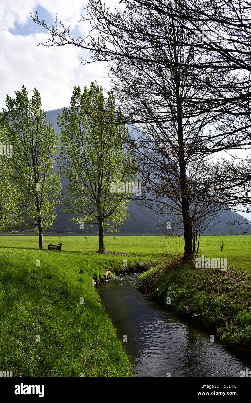 Watercourse created for the irrigation of the meadows Stock Photo - Alamy