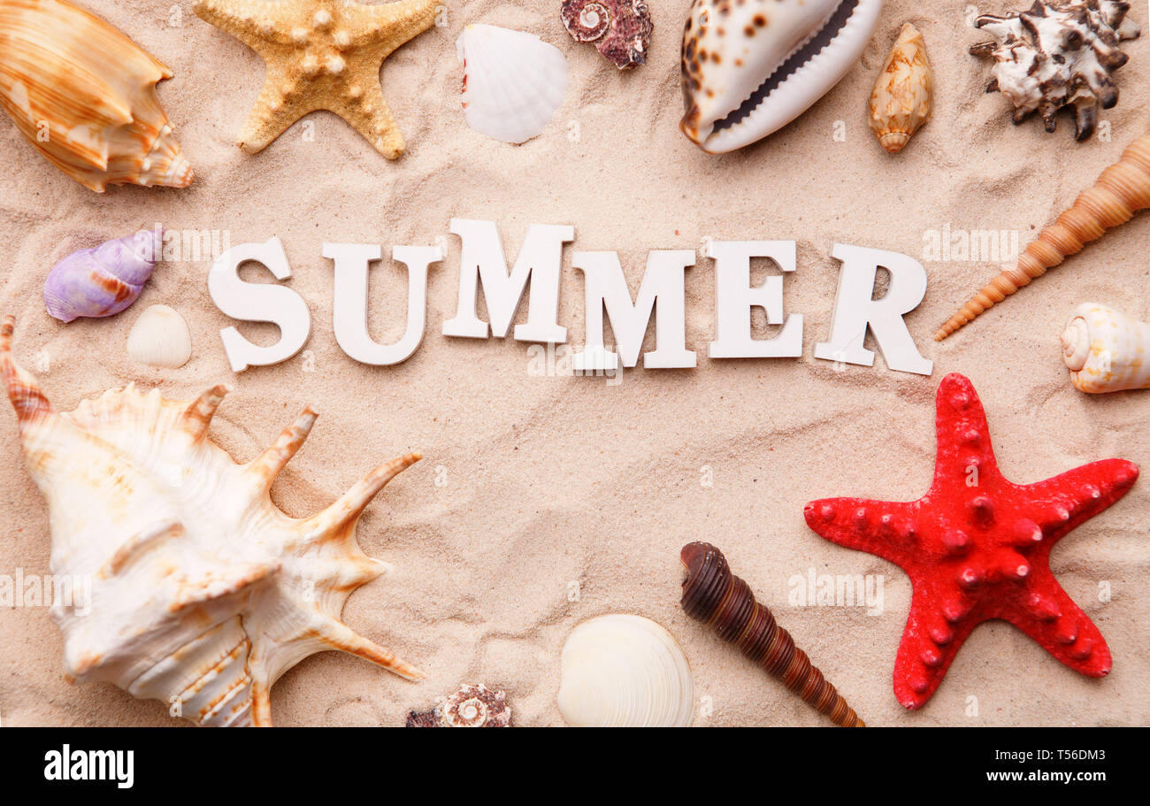Text Summer from white letters and sea shells and starfish on sand ...