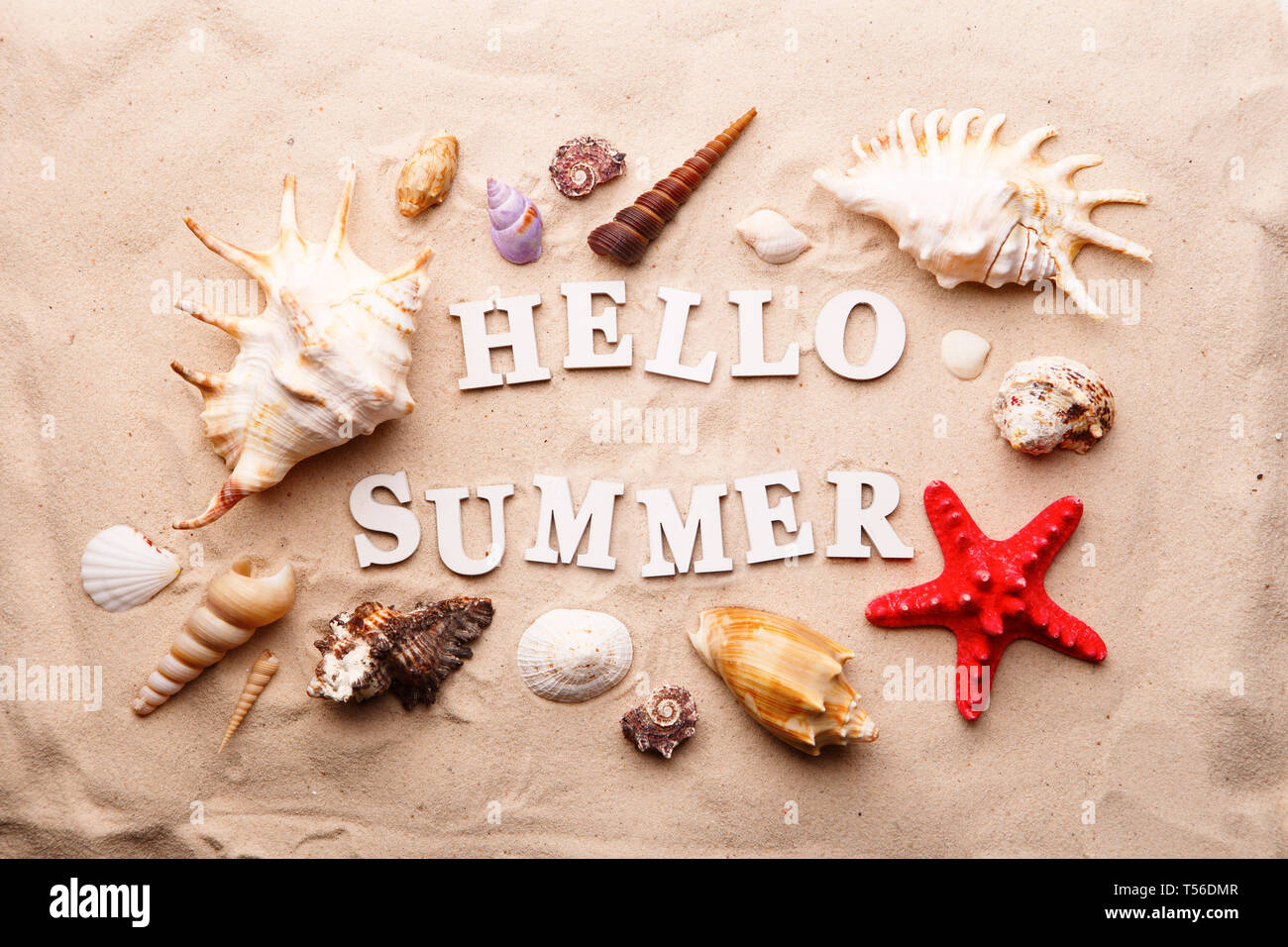 Text Hello Summer from white letters and sea shells and starfish on ...