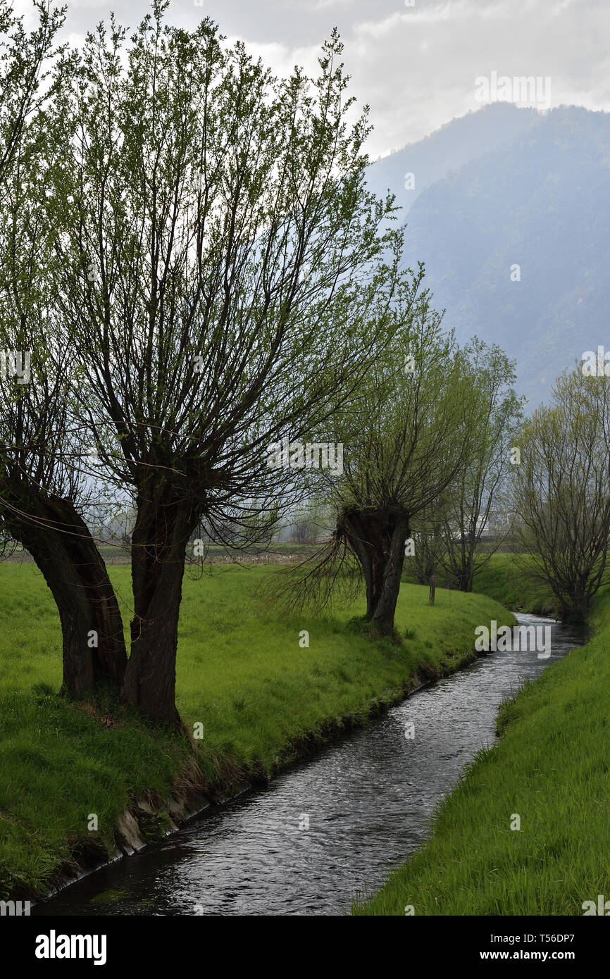 Watercourse created for the irrigation of the meadows Stock Photo - Alamy