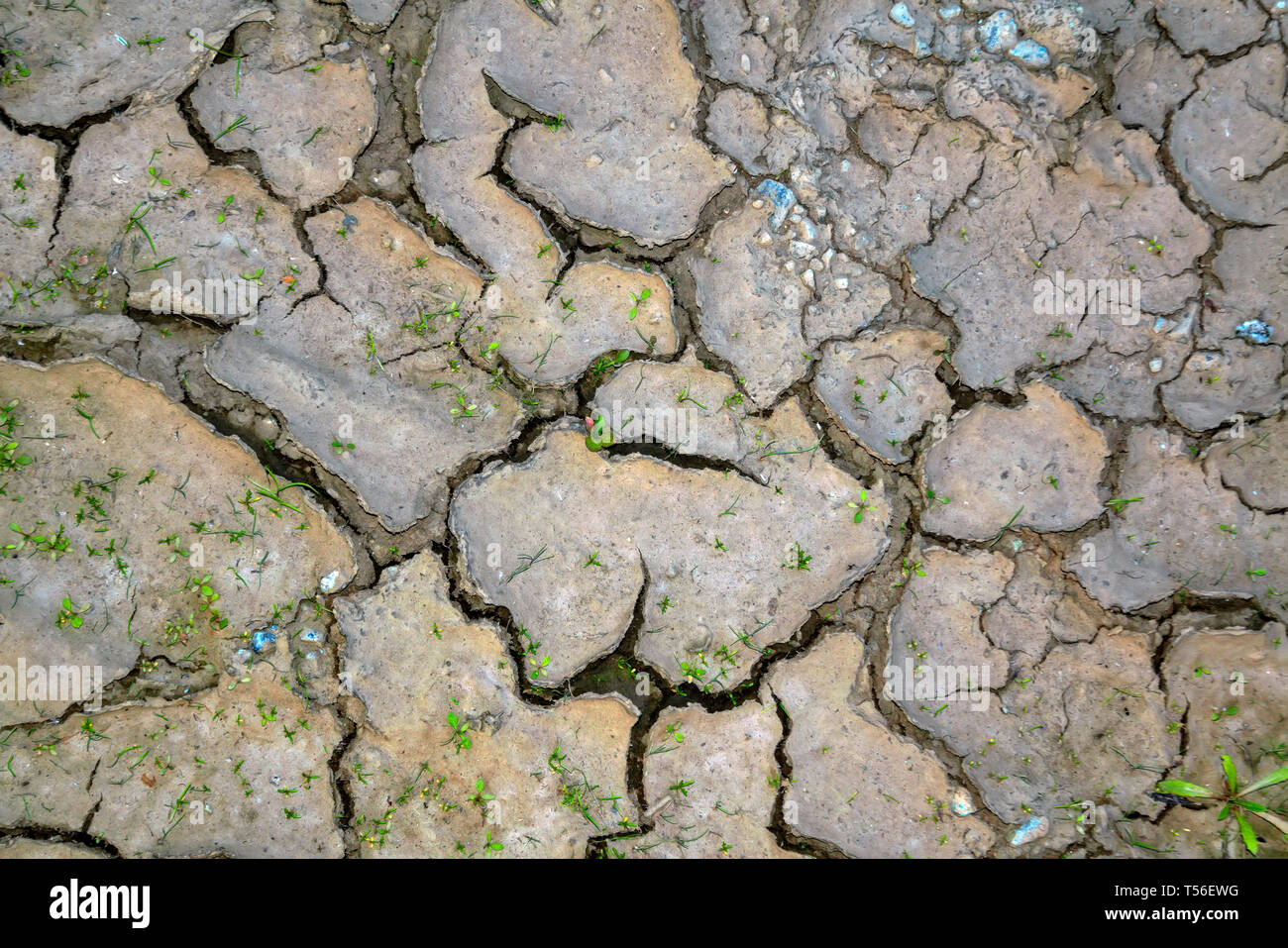 Cracked earth, cracked soil. texture of grungy dry cracking parched ...