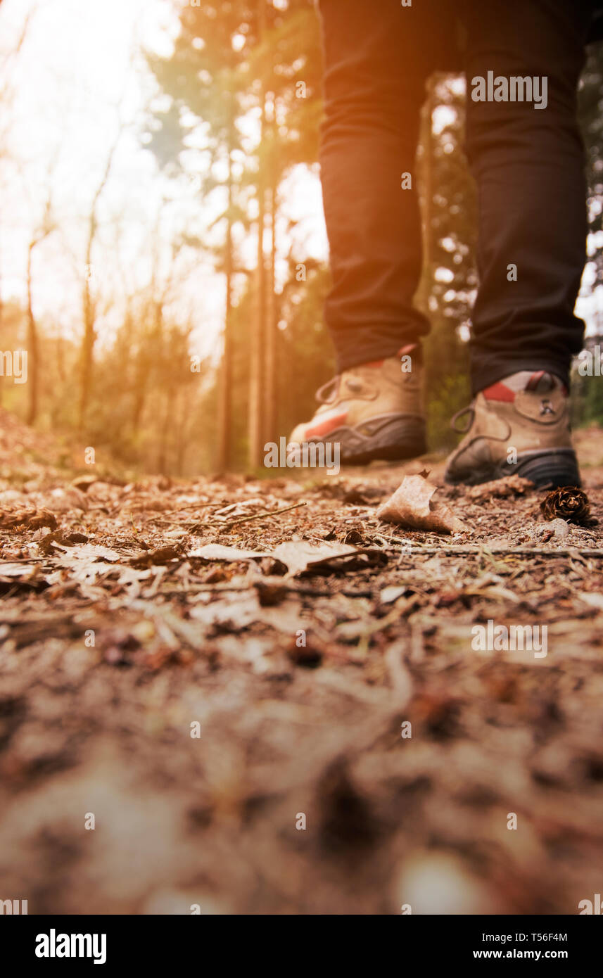 Legs of someone walking on fallen leaves along a path in a forest Stock ...