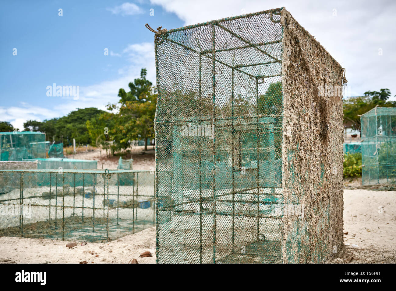 Lobster netting cages on sand beach in Vietnam Stock Photo - Alamy