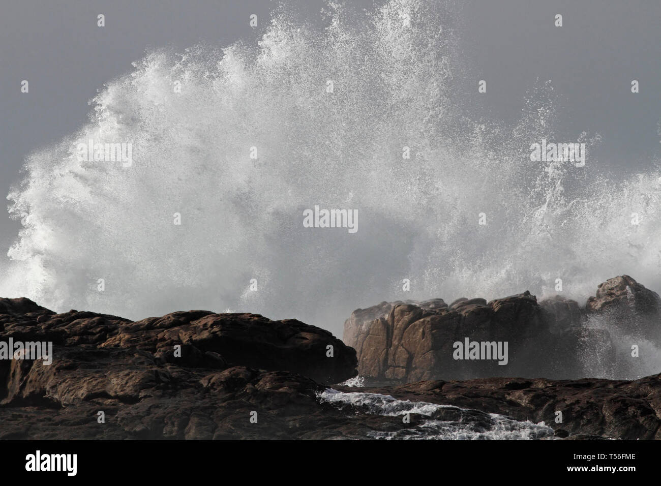 Close up water splashing against rock hi-res stock photography and ...