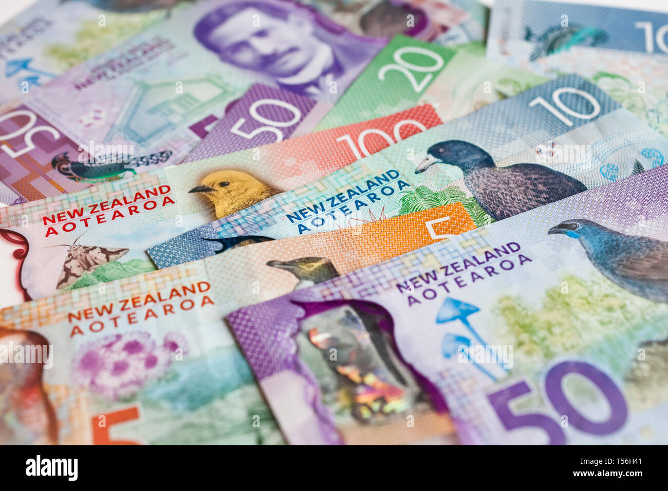 Pile of New Zealand currency laying flat on table Stock Photo - Alamy