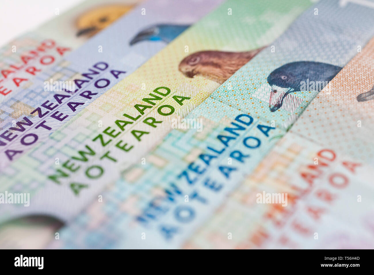 Pile of New Zealand currency laying flat on table Stock Photo - Alamy