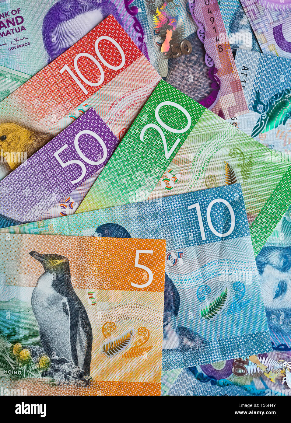 Pile of New Zealand currency laying flat on table Stock Photo - Alamy
