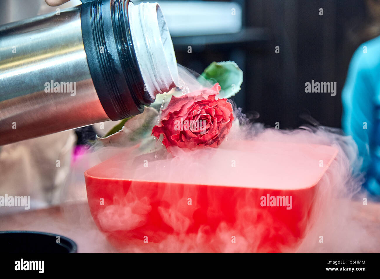 Liquid Nitrogen Experiments