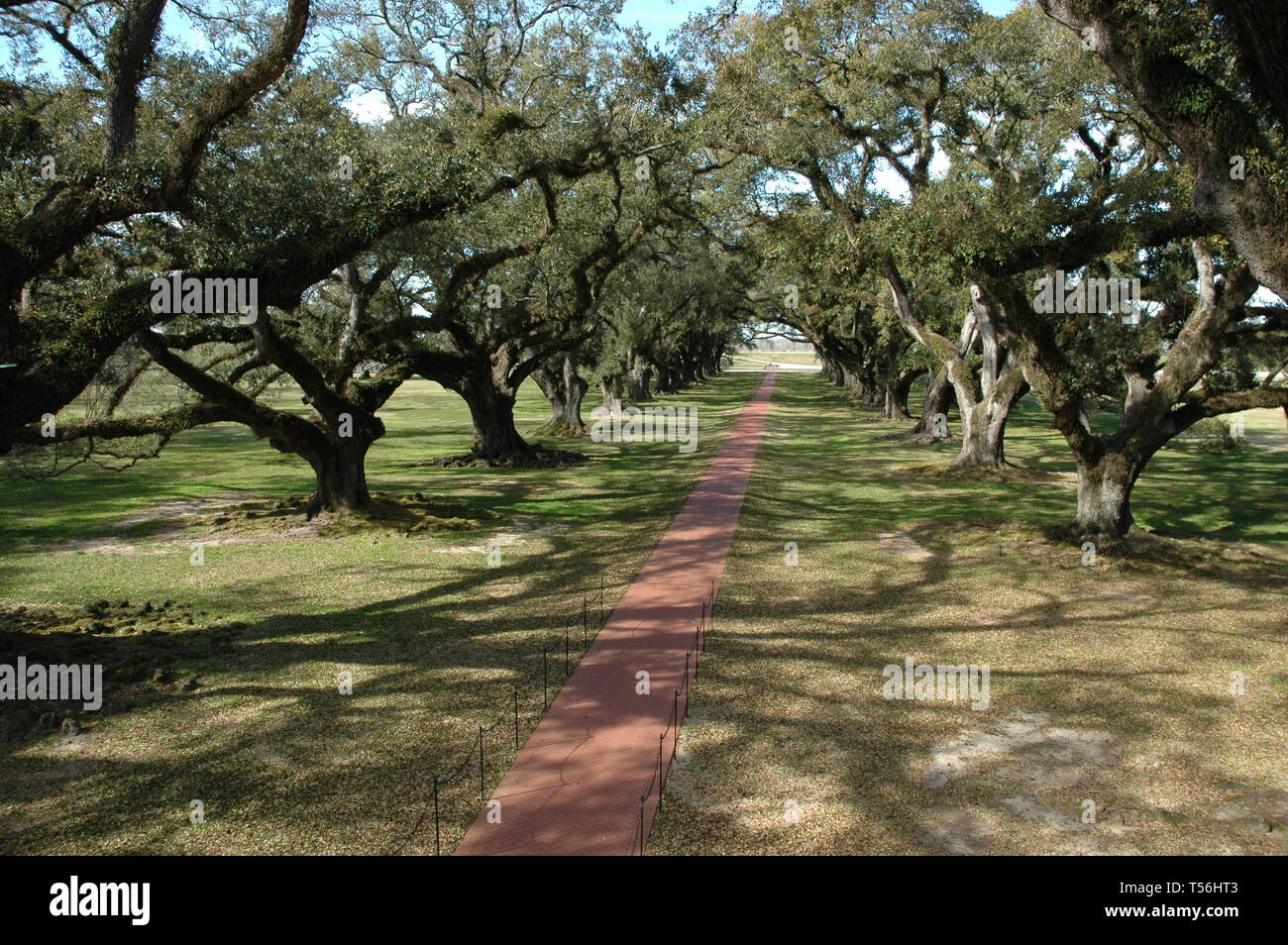 Vacherie, Louisiana, USA - 2019: Oak Alley Plantation is a historic ...