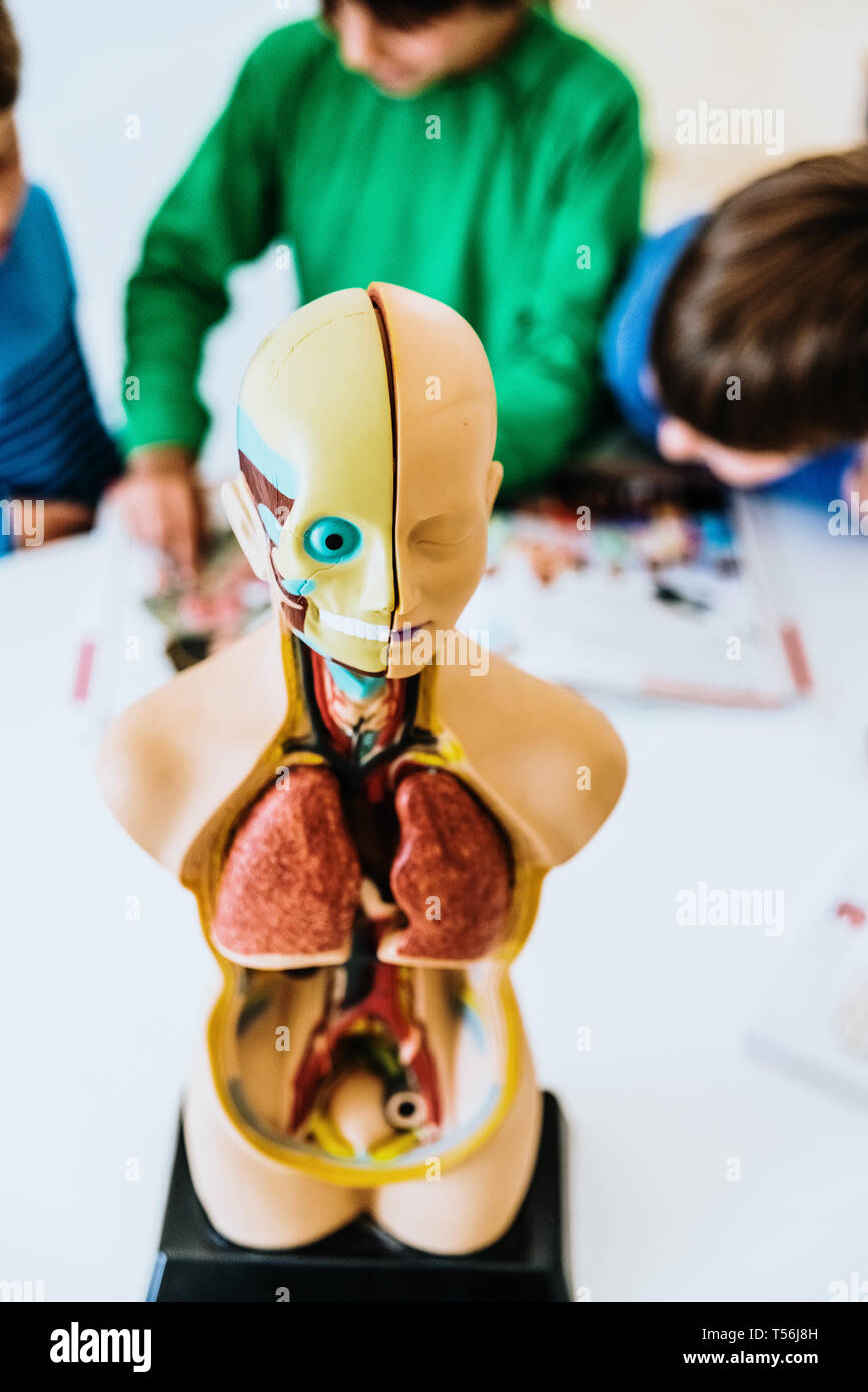 Boy using a dummy hi-res stock photography and images - Alamy