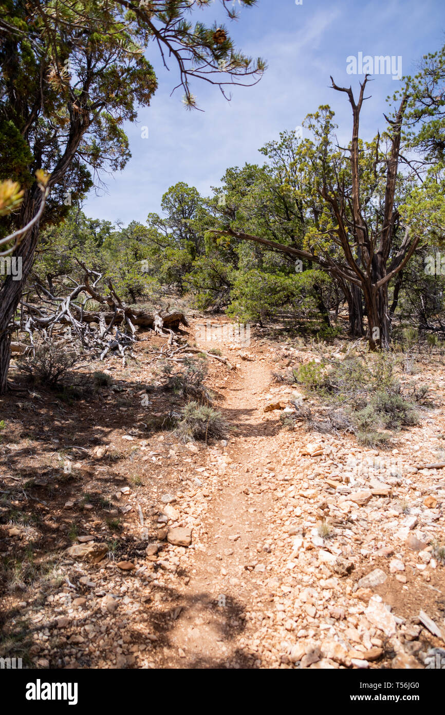 Blue canyon ravine arizona hi-res stock photography and images - Alamy