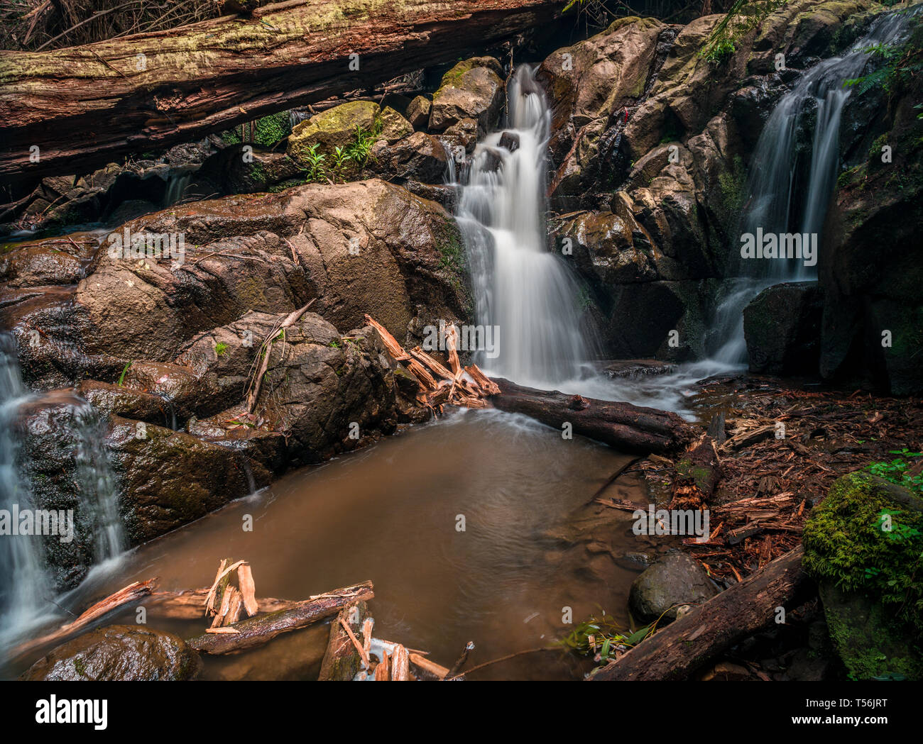 Olinda falls hi-res stock photography and images - Alamy