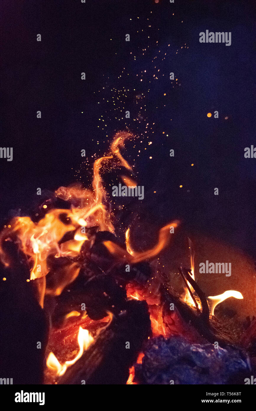 Bright orange campfire embers burning in the dark night Stock Photo - Alamy