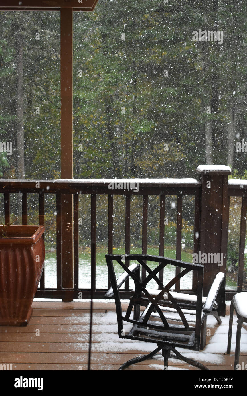 Snow falling on a balcony overlooking the forest Stock Photo - Alamy