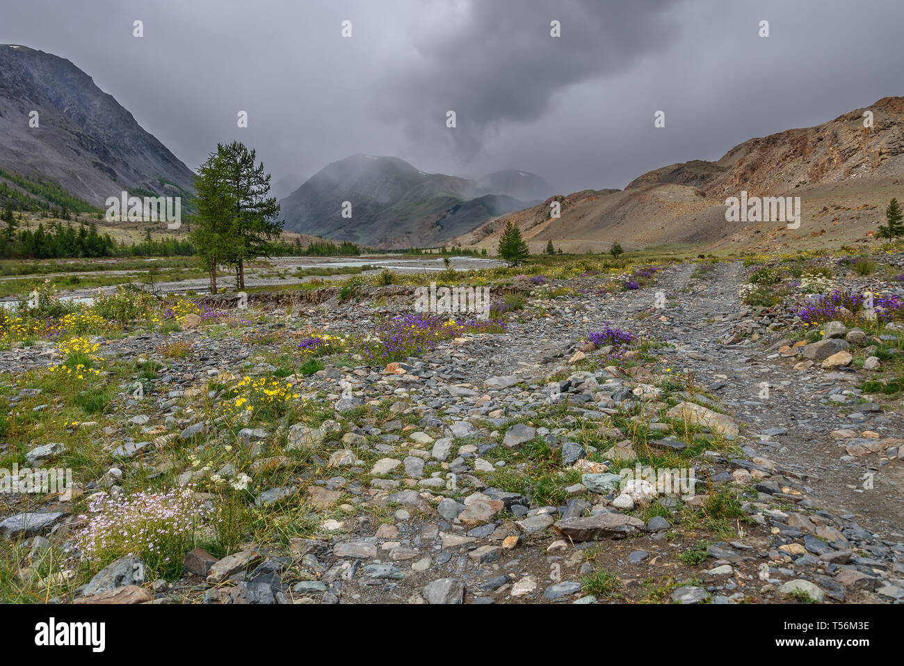 Rocky road white background hi-res stock photography and images - Alamy