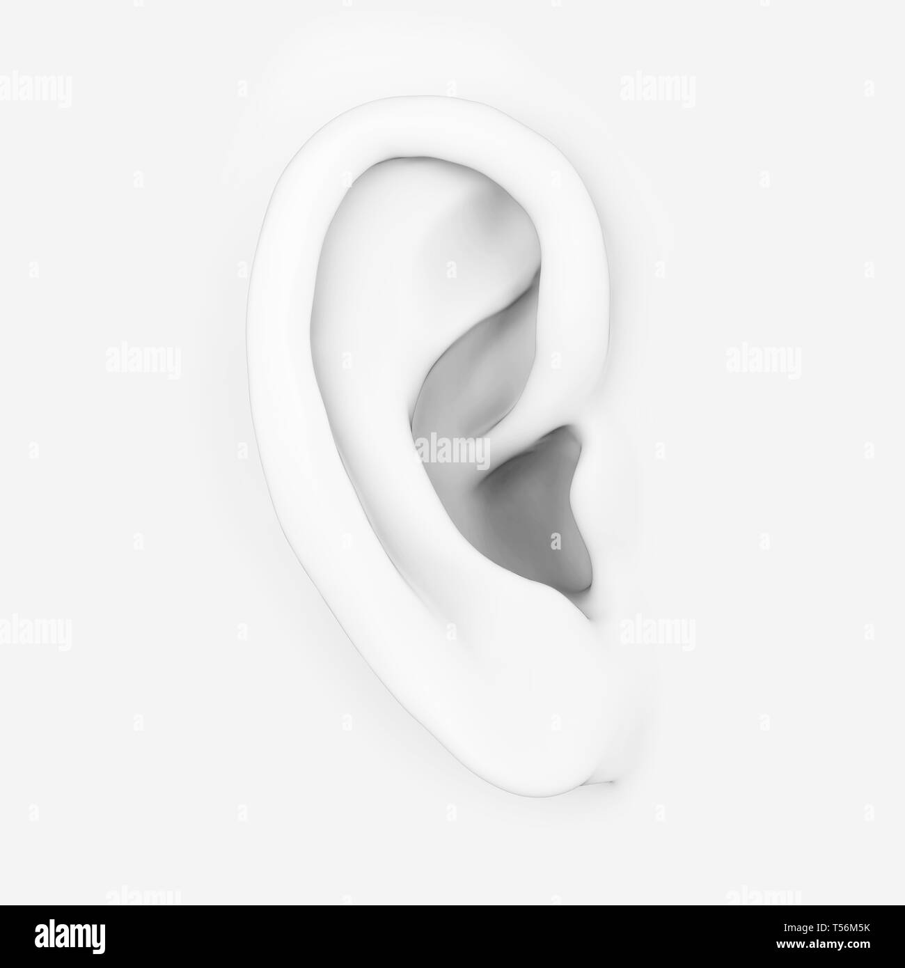 Human Ear Isolated Stock Photo - Alamy