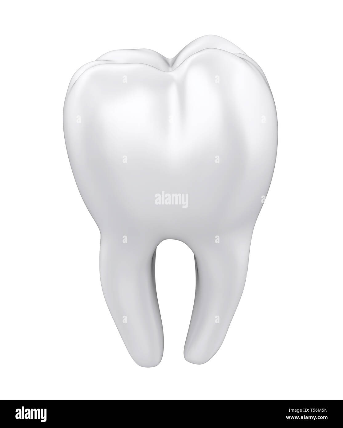 Tooth root hi-res stock photography and images - Alamy