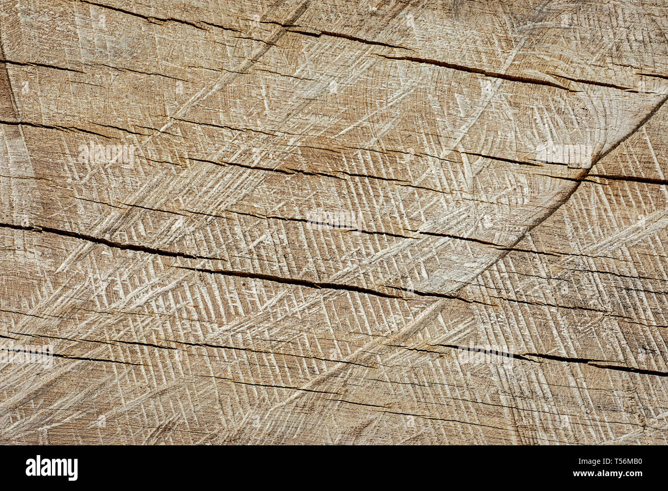 texture background wood surface heavily ripped and cracked Stock Photo ...