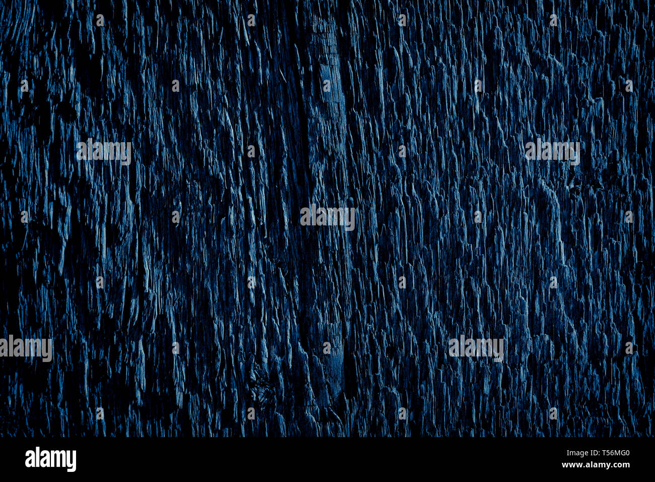 Texture Navy blue of old rough wood. Abstract background for design ...