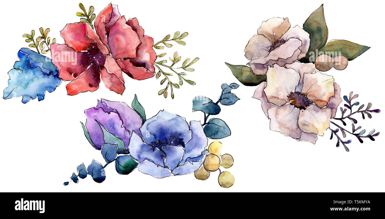 Bouquet floral botanical flowers. Watercolor background illustration ...