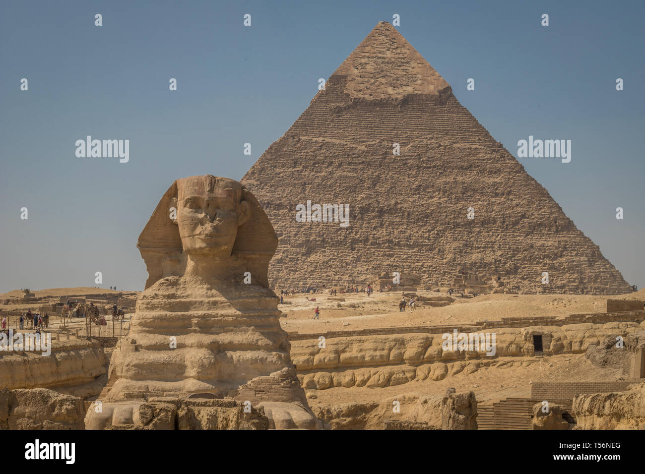 The Spinx in Giza Stock Photo - Alamy