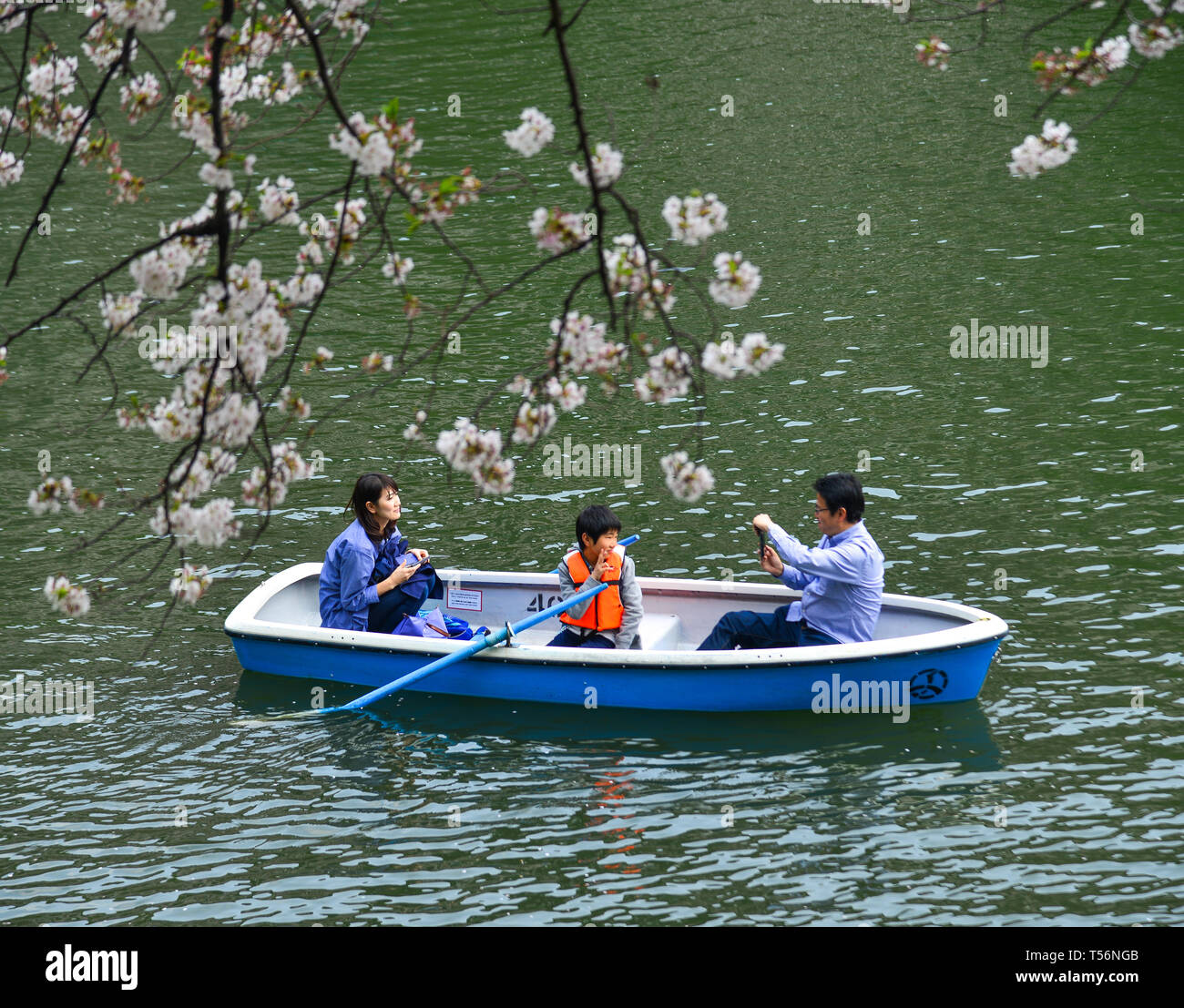 Tokyo, Japan - Apr 7, 2019. People enjoy cherry blossoms from rowing ...