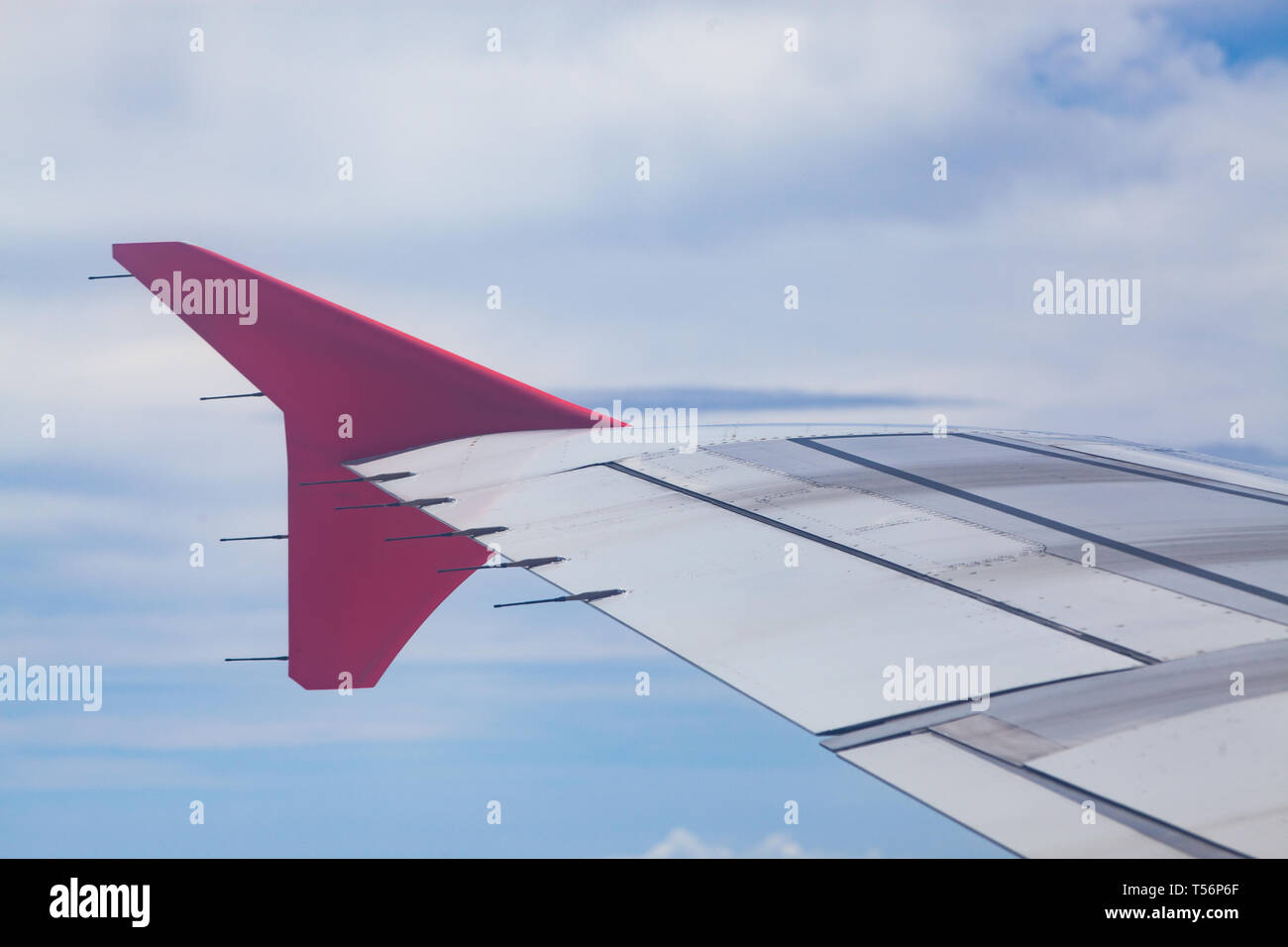pink airplane wings on blue sky - freedom and travel concept Stock ...