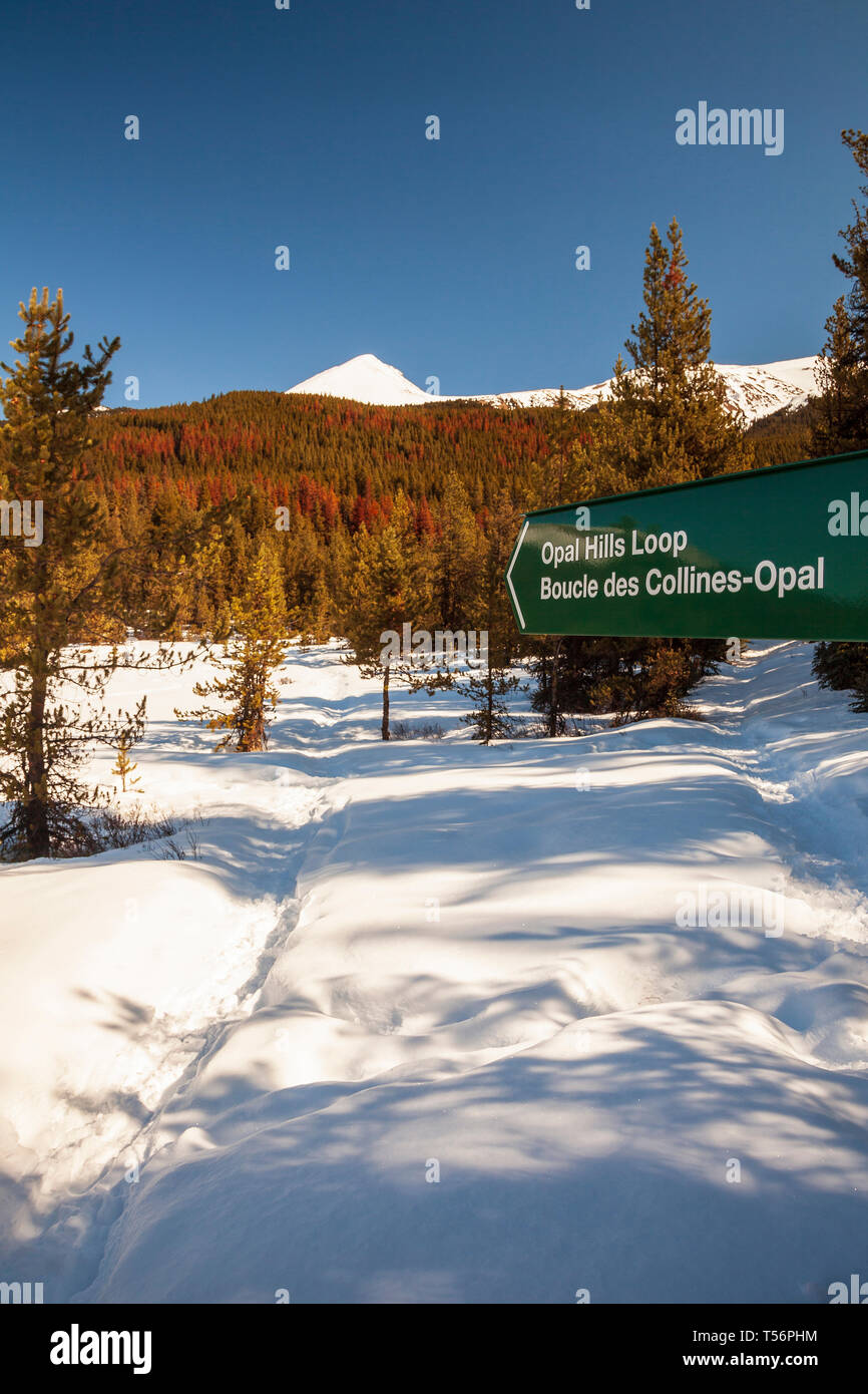 Opal hills loop hi-res stock photography and images - Alamy