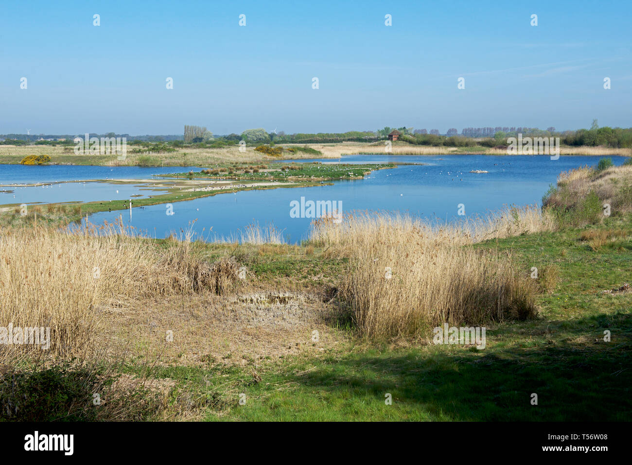 North Cave Wetlands nature reserve, East Yorkshire, England UK Stock ...