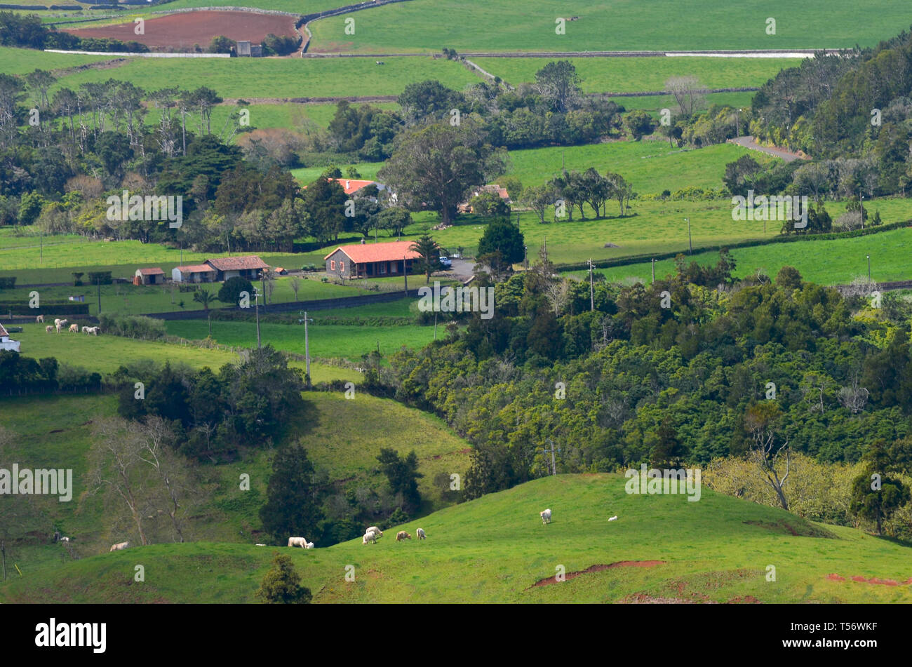 Traditional farms and houses in the small parish of Sao Pedro, in the ...