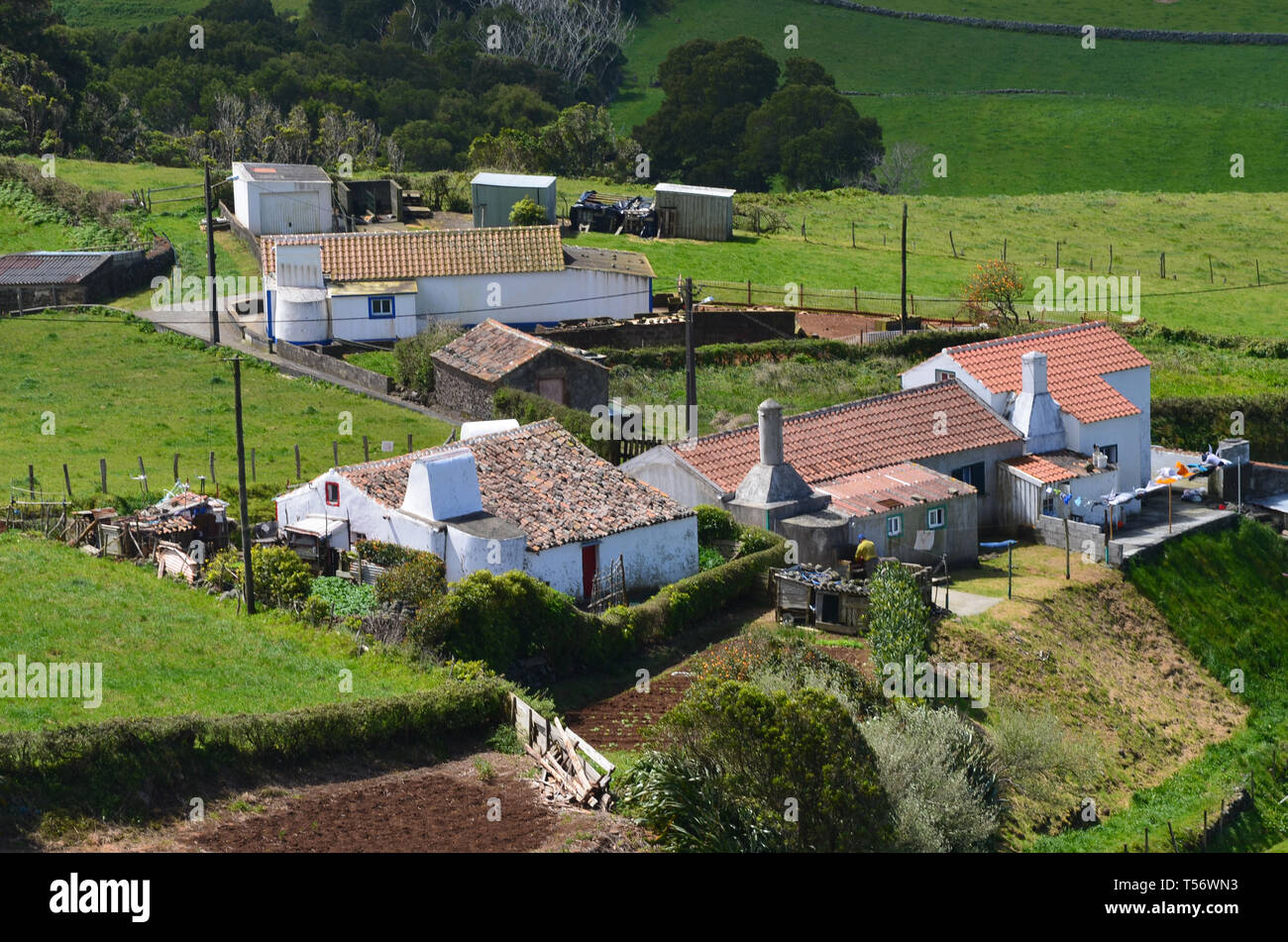 Traditional farms and houses in the small parish of Sao Pedro, in the ...