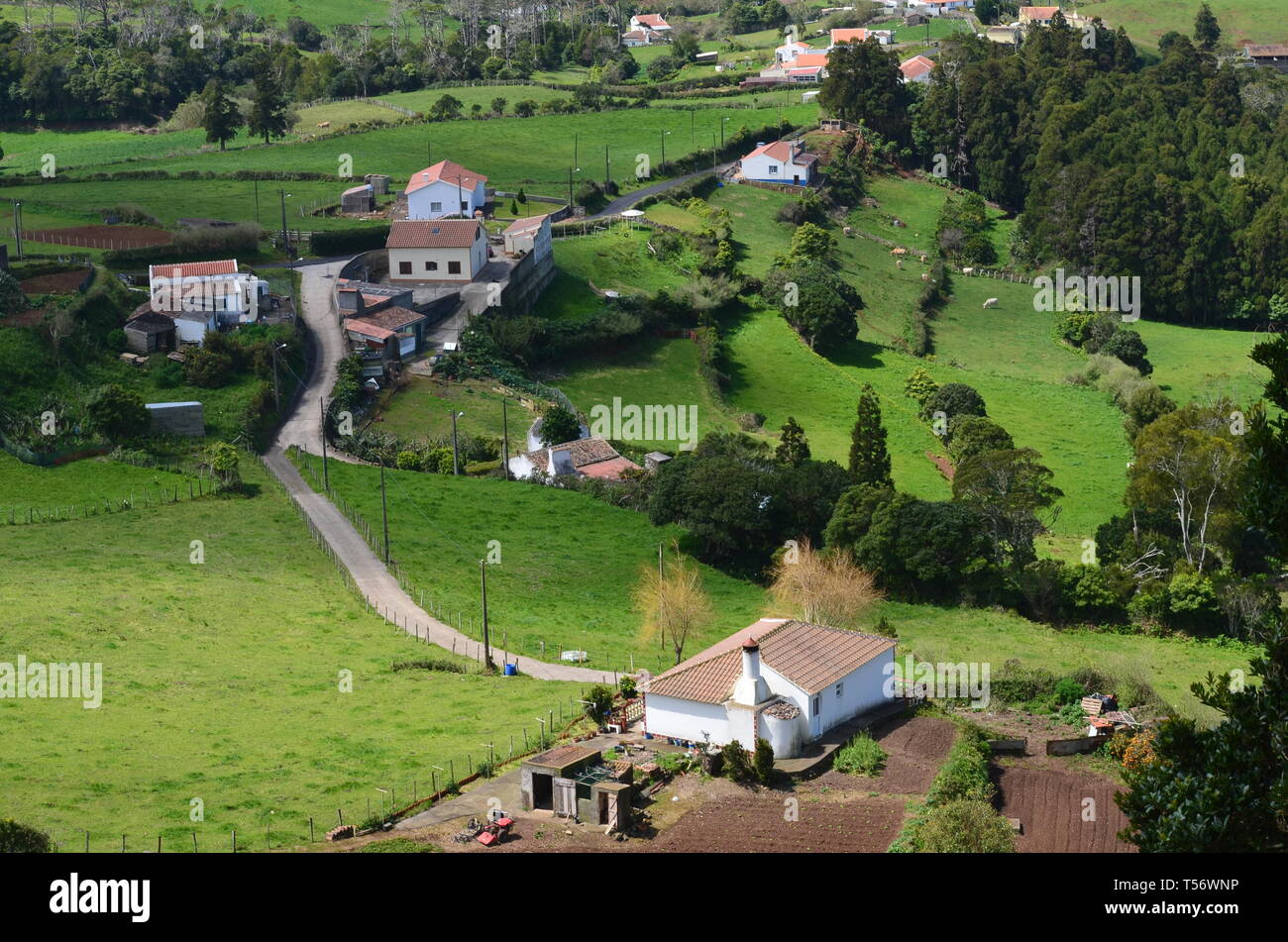 Traditional farms and houses in the small parish of Sao Pedro, in the ...
