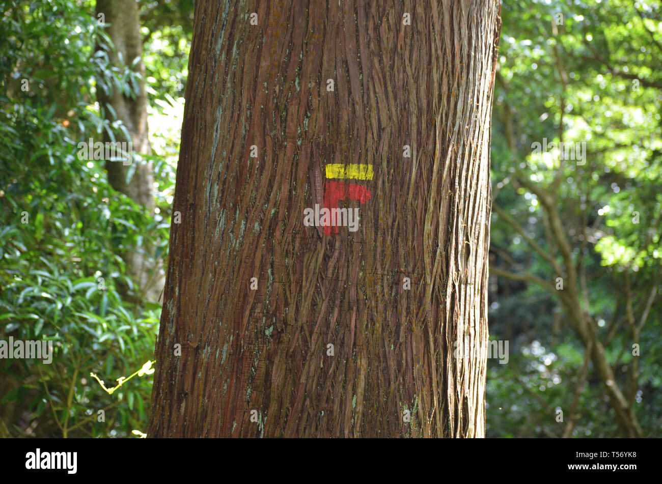 Signs for the Santa Maria short- and long distance walking trail Stock ...