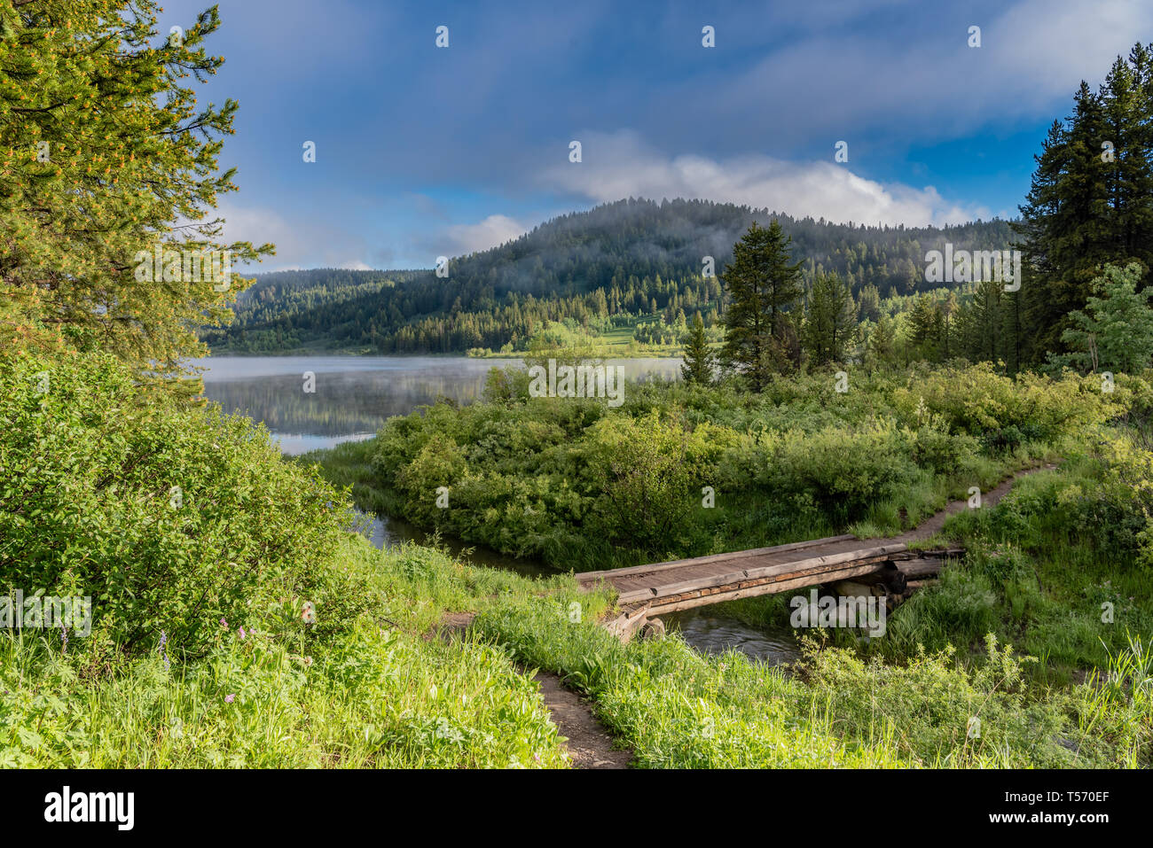 Wooden Bridge Over Brook Connects Trails Together Stock Photo - Alamy