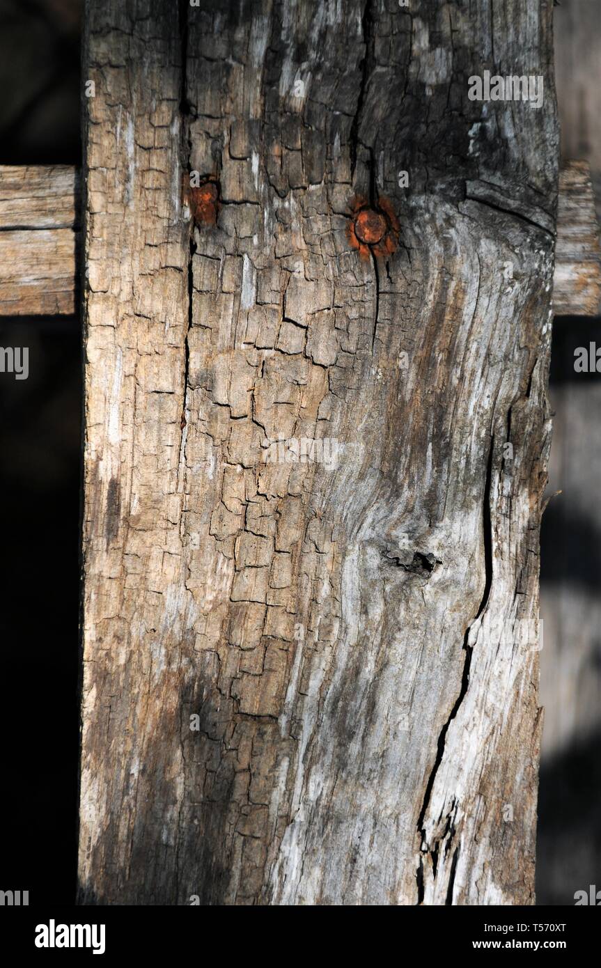 Rotten piece of wood hi-res stock photography and images - Alamy