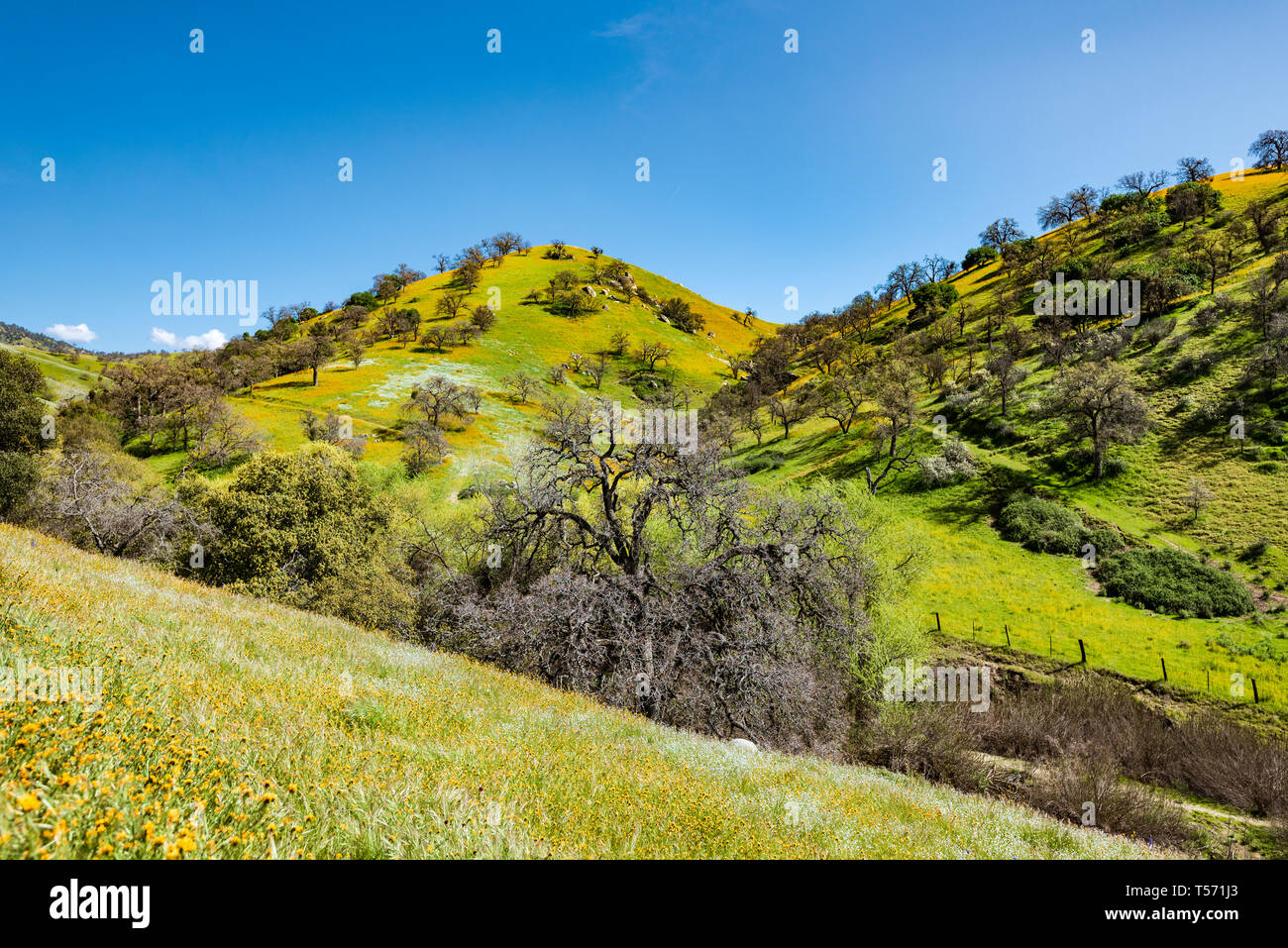 Senic Landscape High Resolution Stock Photography and Images - Alamy