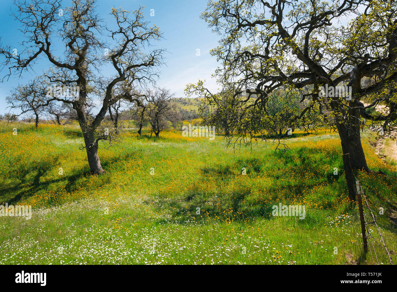 Senic landscape hi-res stock photography and images - Alamy