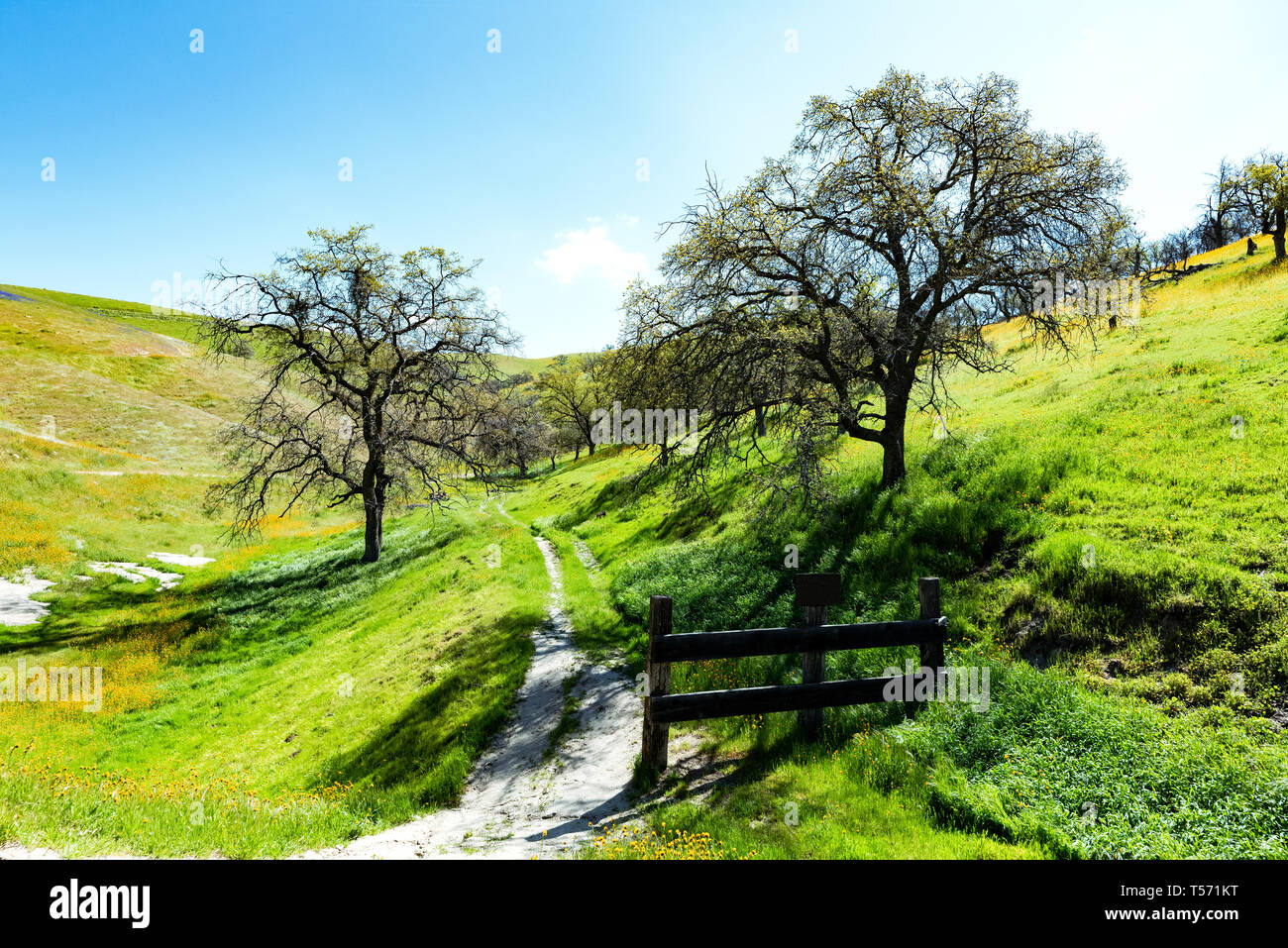 Senic landscape hi-res stock photography and images - Alamy