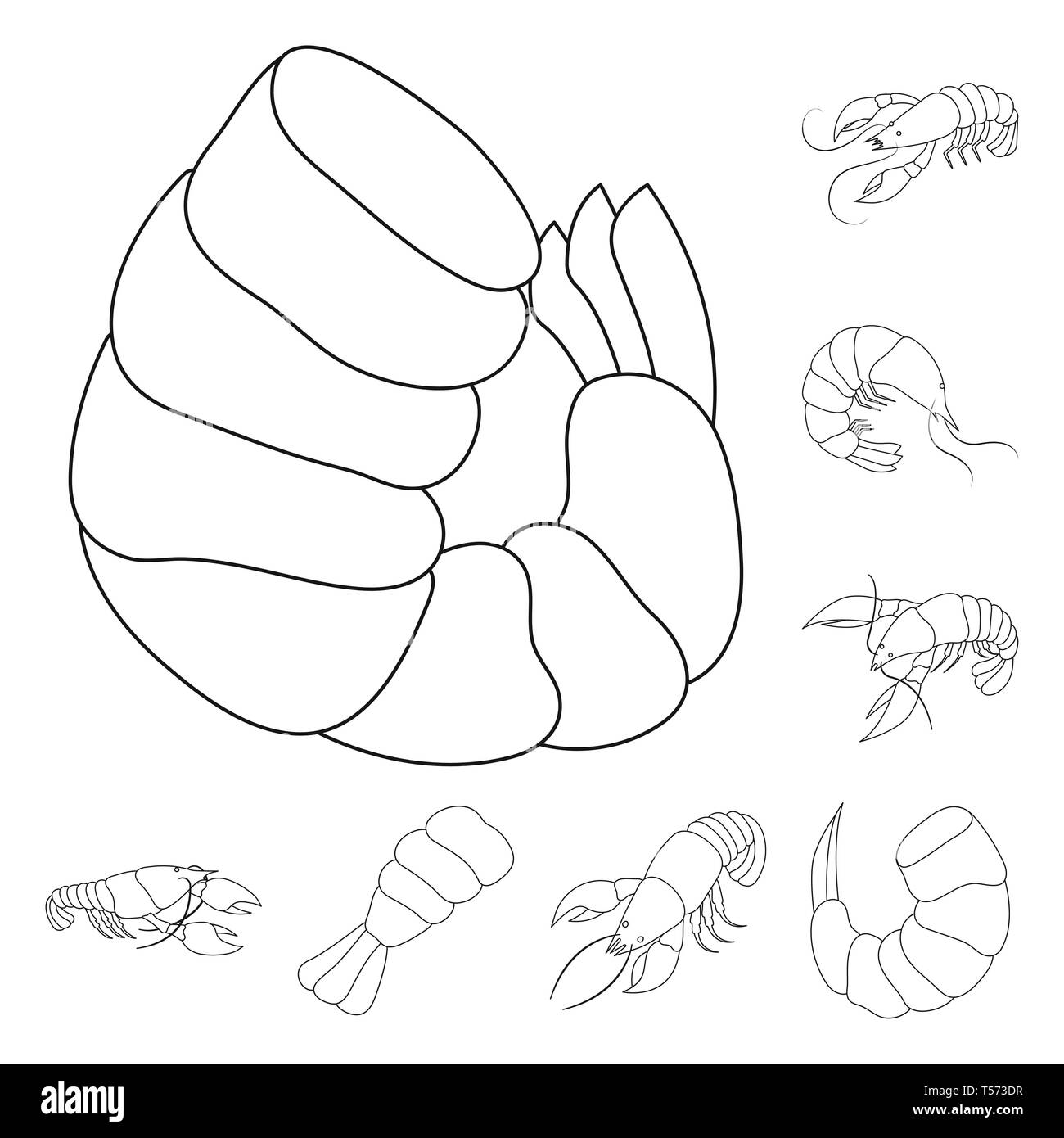 prawn,lobster,raw,red,creature,cooked,boiled,atlantic,happy,luxury ...