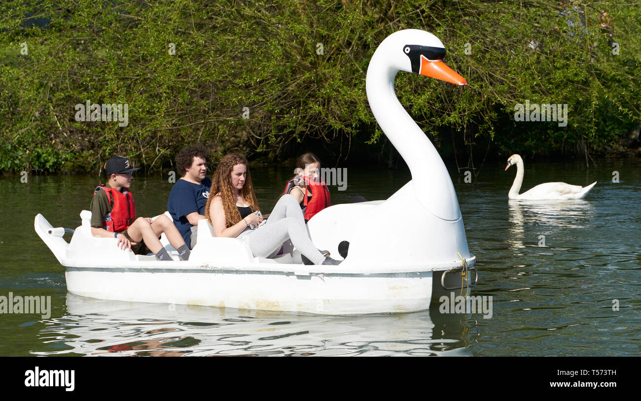 Pedalo swans hi-res stock photography and images - Alamy