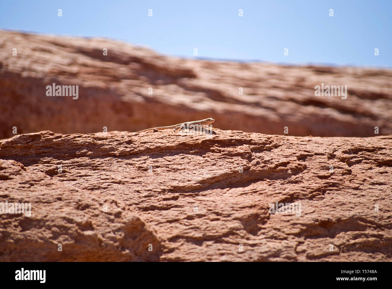 Getting rays hi-res stock photography and images - Alamy