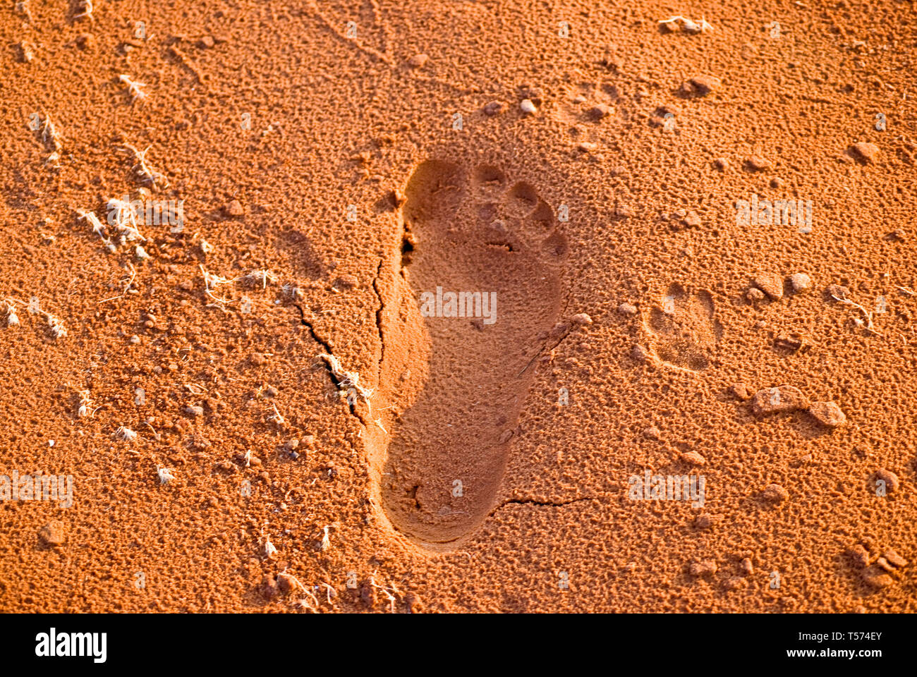 Left footprint hi-res stock photography and images - Alamy