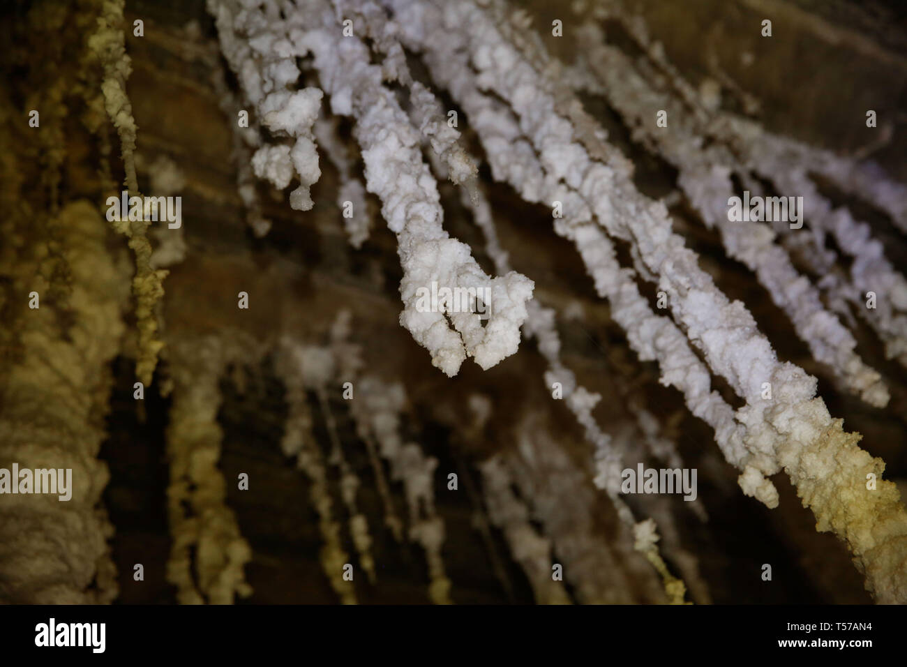 (190422) -- MOUNT SODOM, April 22, 2019 (Xinhua) -- Salt stalactites ...