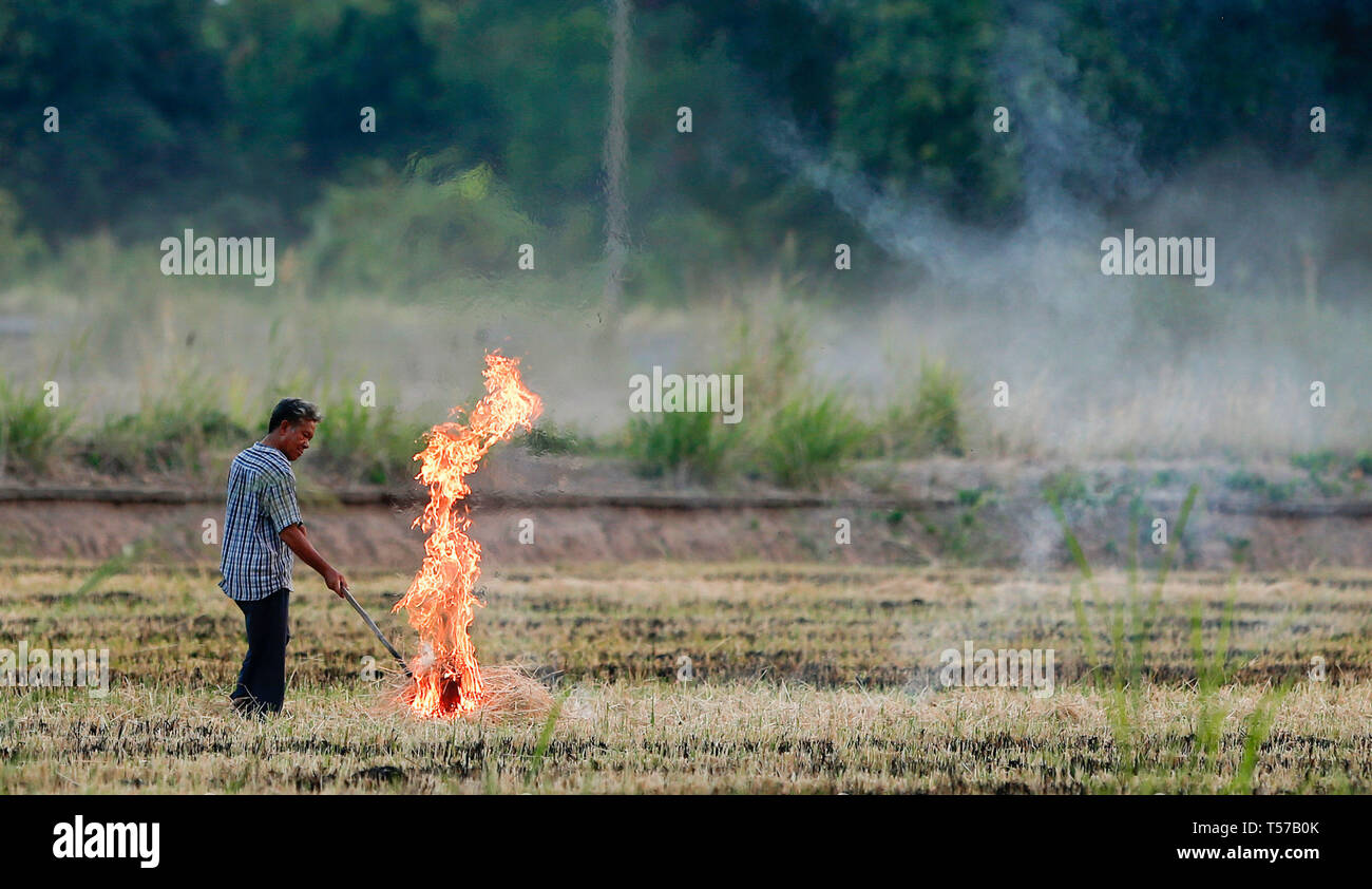 A Thai farmer seen burning a paddy field in Nakhon Sawan province ...