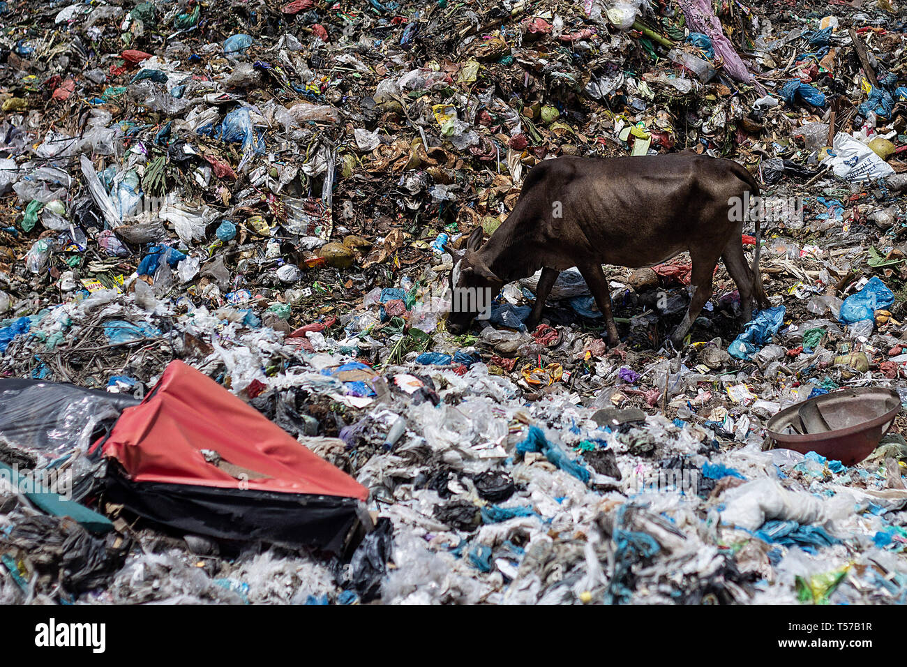 Production of plastics hi-res stock photography and images - Alamy